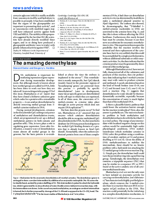 (PDF) The amazing demethylase