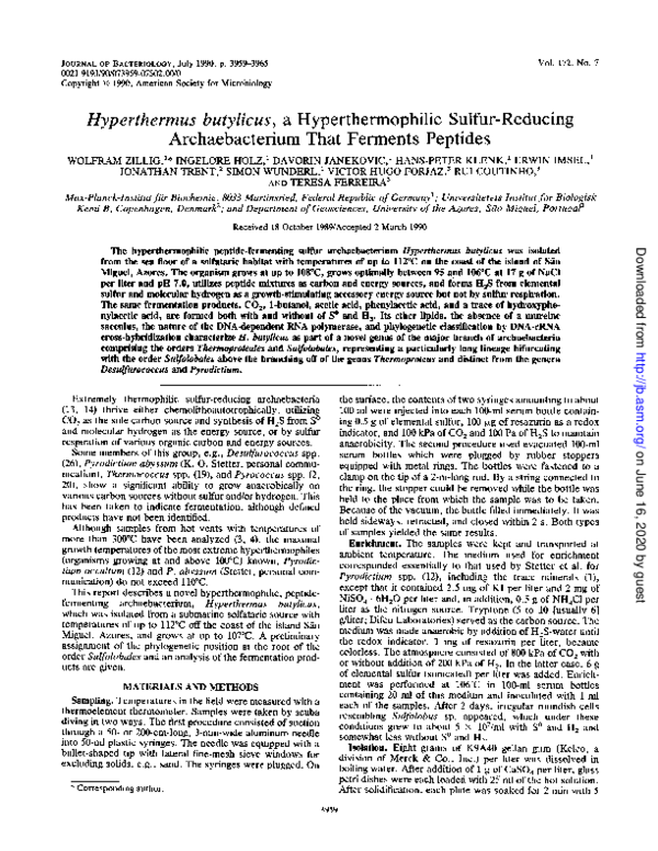 (PDF) Hyperthermus butylicus, a hyperthermophilic sulfur-reducing ...