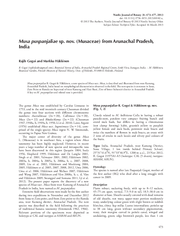 (PDF) Musa puspanjaliaesp. nov. (Musaceae) from Arunachal Pradesh, India