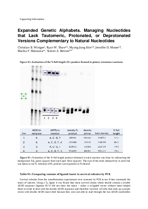 (PDF) Expanded Genetic Alphabets: Managing Nucleotides That Lack ...