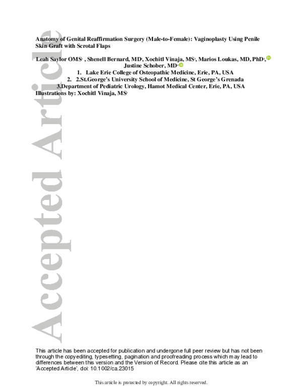 (PDF) Anatomy of genital reaffirmation surgery (male-to-female ...