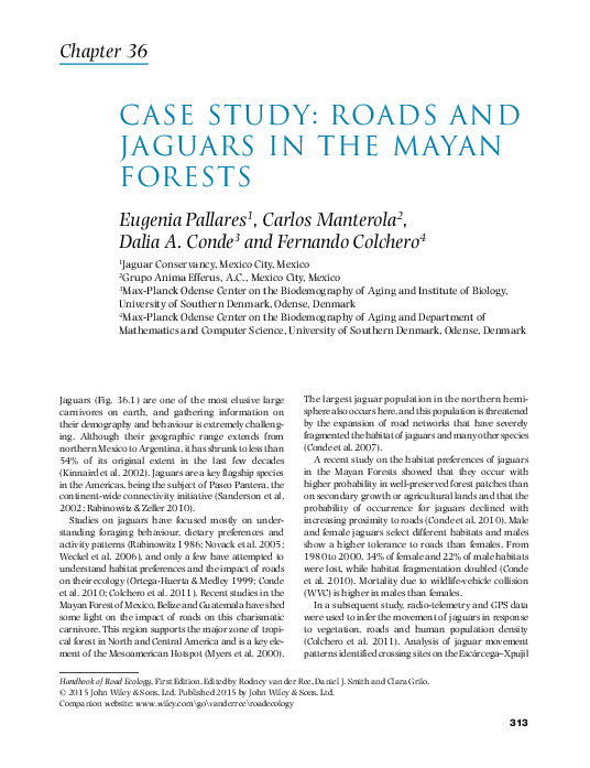 (PDF) Case Study: Roads and Jaguars in the Mayan Forests