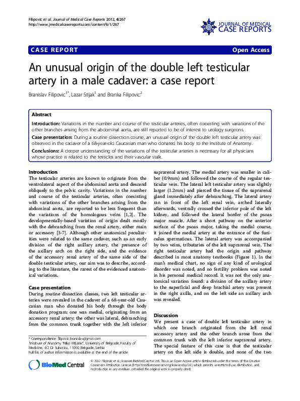 (PDF) An unusual origin of the double left testicular artery in a male ...