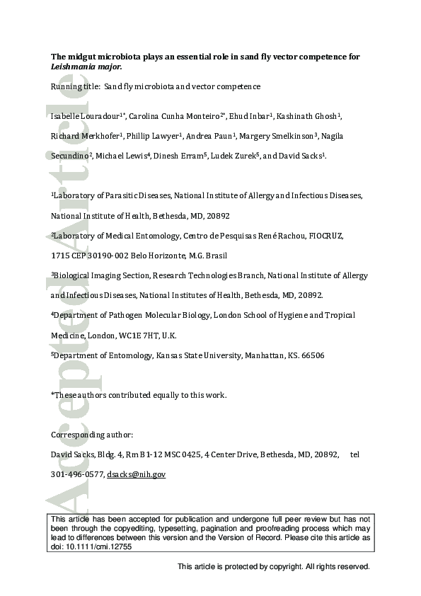 (PDF) The midgut microbiota plays an essential role in sand fly vector ...