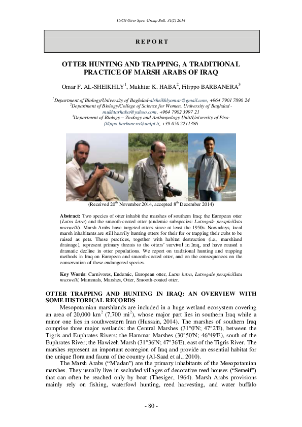 (PDF) Otter Hunting and Trapping, a Traditional Practice of Marsh Arabs ...