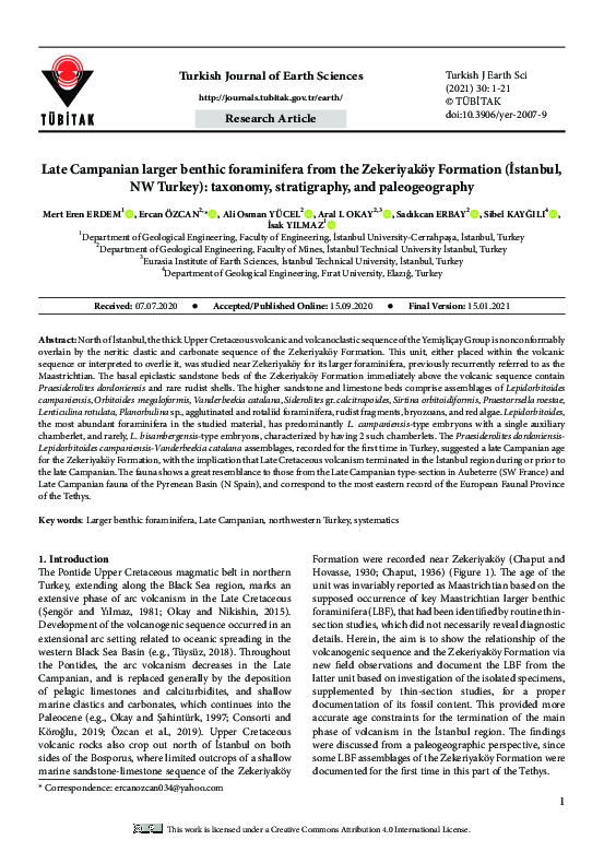 (PDF) Late Campanian larger benthic foraminifera from the Zekeriyaköy ...