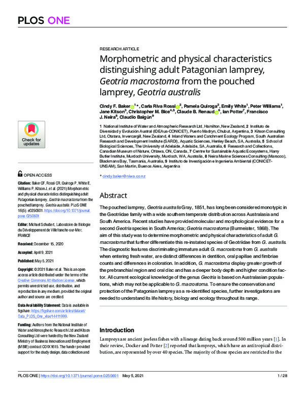 (PDF) Morphometric and physical characteristics distinguishing adult ...