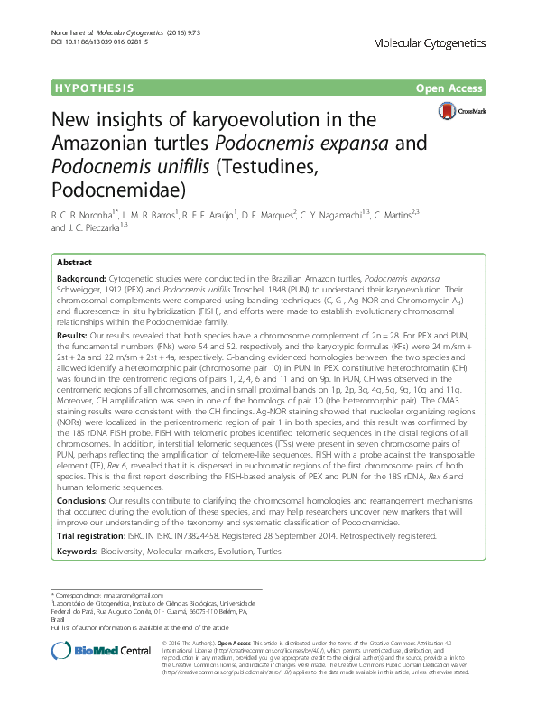 (PDF) New insights of karyoevolution in the Amazonian turtles ...