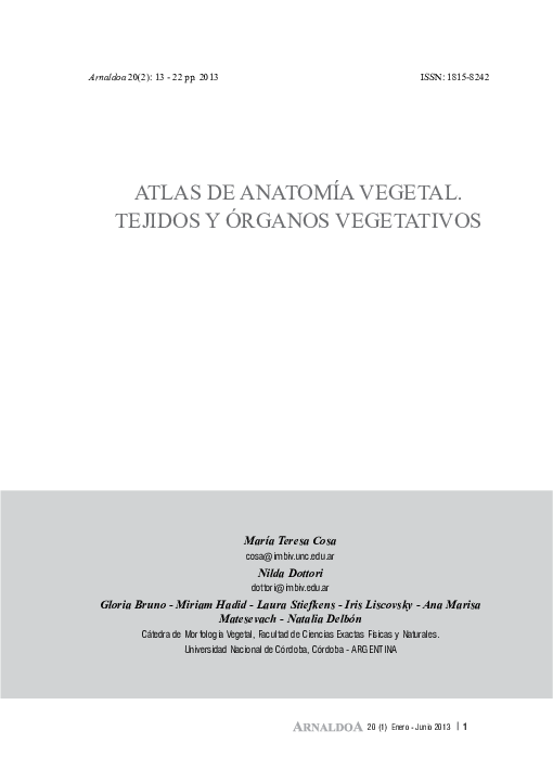(PDF) Atlas de Anatomía Vegetal. Tejidos y Órganos Vegetativos