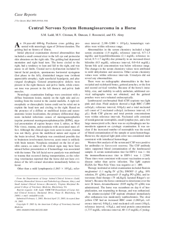 (PDF) Central Nervous System Hemangiosarcoma in a Horse | John ...