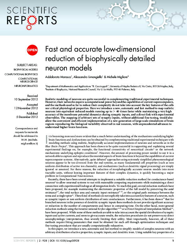 Pdf Fast And Accurate Low Dimensional Reduction Of Biophysically Detailed Neuron Models