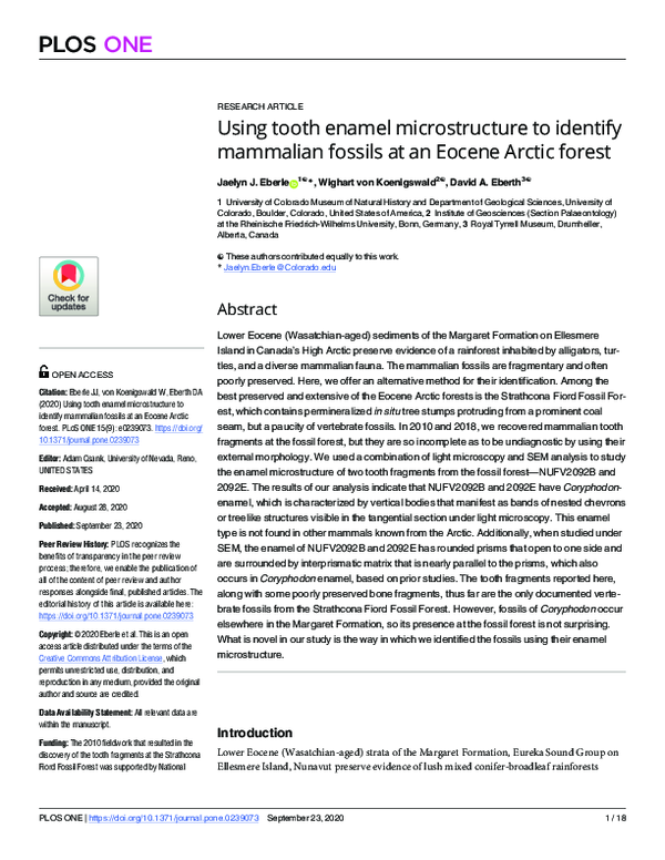 (PDF) Using tooth enamel microstructure to identify mammalian fossils at an Eocene Arctic forest