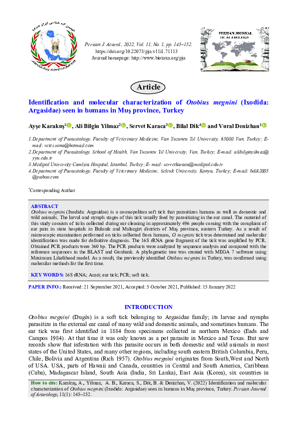 (PDF) Identification and molecular characterization of Otobius megnini ...