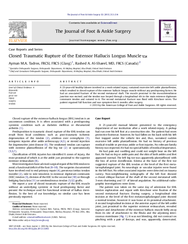 (PDF) Closed Traumatic Rupture of the Extensor Hallucis Longus Muscle