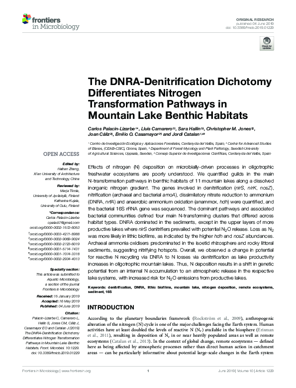 (PDF) The DNRA-Denitrification Dichotomy Differentiates Nitrogen ...