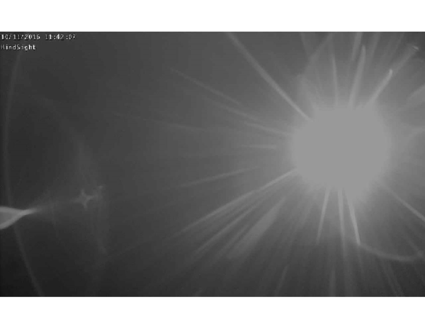 (PDF) An Original B&W Photo from the Infrared Camera that captured ...