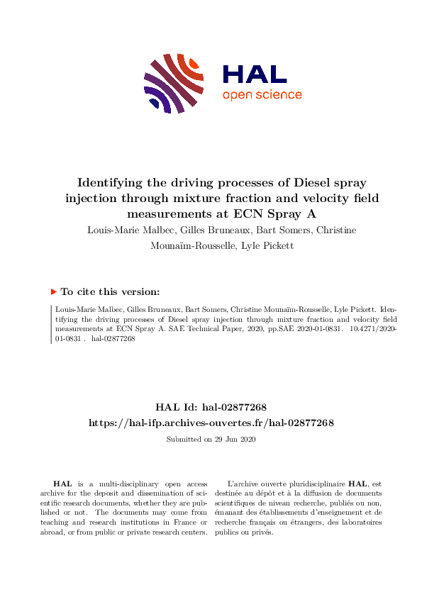 (PDF) Identifying the Driving Processes of Diesel Spray Injection ...