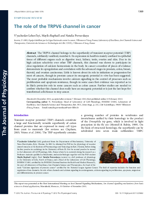 (PDF) The role of the TRPV6 channel in cancer | V'yacheslav Lehen'kyi ...