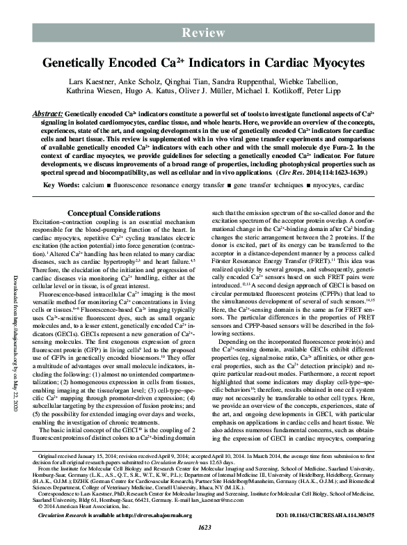 (PDF) Genetically encoded Ca2+ indicators in cardiac myocytes