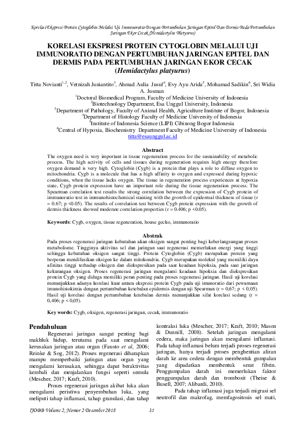(PDF) KORELASI EKSPRESI PROTEIN CYTOGLOBIN MELALUI UJI IMMUNORATIO DENGAN PERTUMBUHAN JARINGAN ...