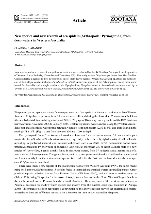 (PDF) New species and new records of sea spiders (Arthropoda ...