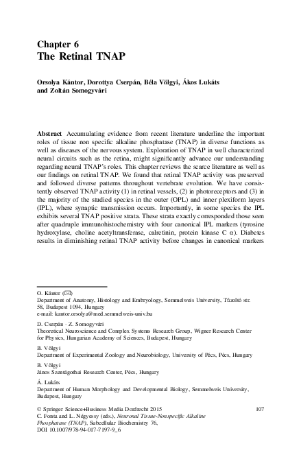 (PDF) The Retinal TNAP