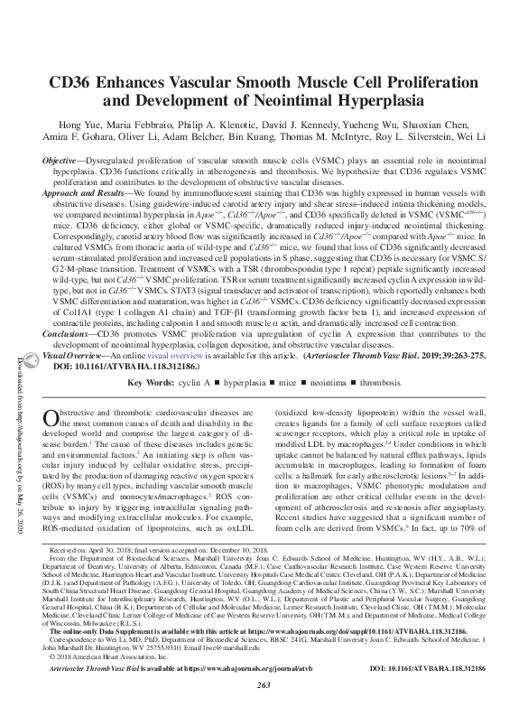 (PDF) CD36 Enhances Vascular Smooth Muscle Cell Proliferation and ...