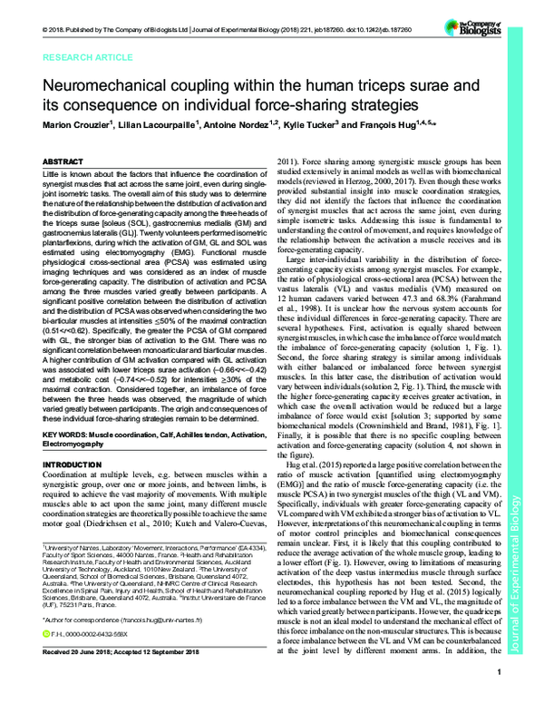 (PDF) Neuromechanical coupling within the human triceps surae and its ...