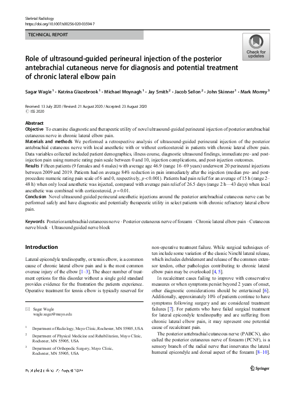 (PDF) Role of ultrasound-guided perineural injection of the posterior ...