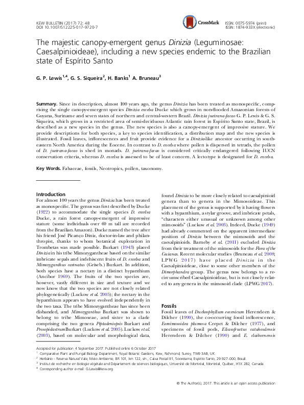 (PDF) The majestic canopy-emergent genus Dinizia (Leguminosae ...