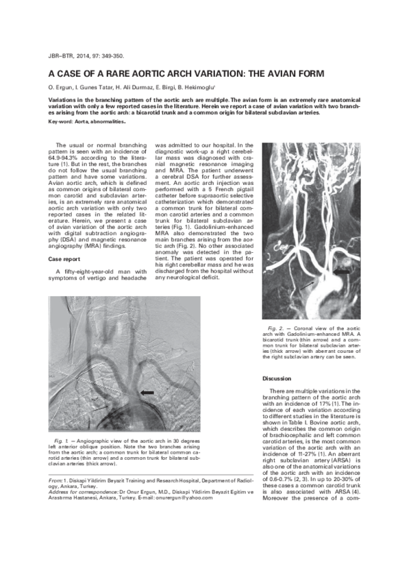 (PDF) A case of a rare aortic arch variation: the avian form