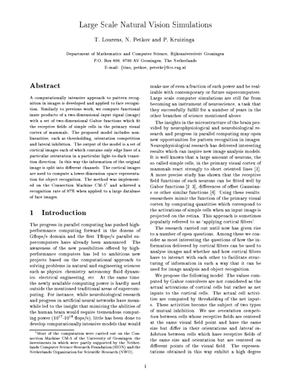 (PDF) Large scale natural vision simulations