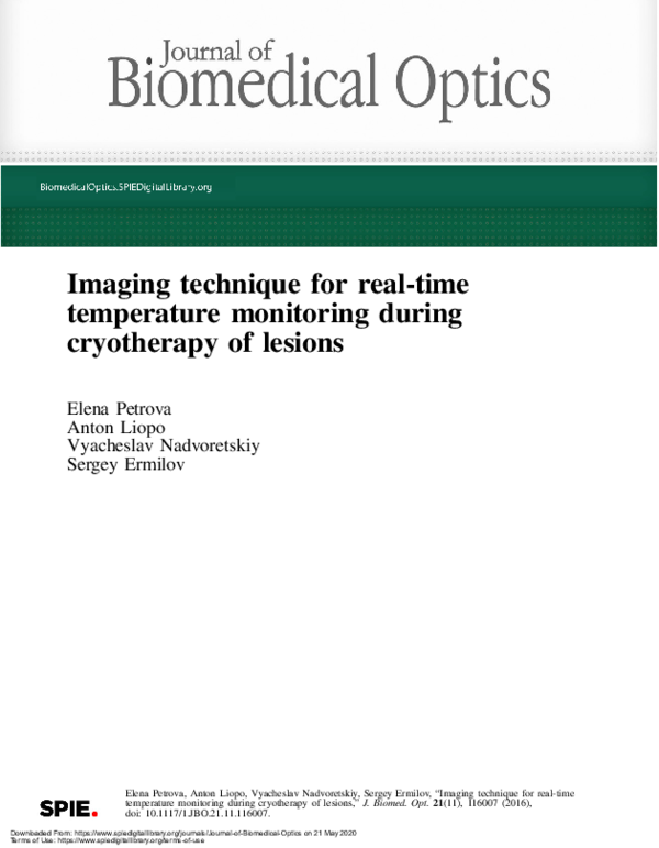 (PDF) Imaging technique for real-time temperature monitoring during ...