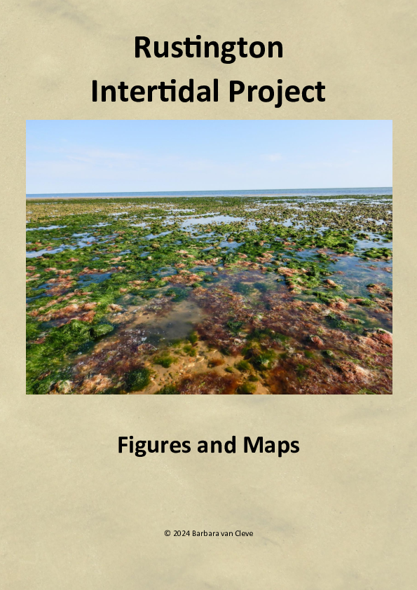 (PDF) Rustington Intertidal Project - Figures and Maps | Barbara van ...