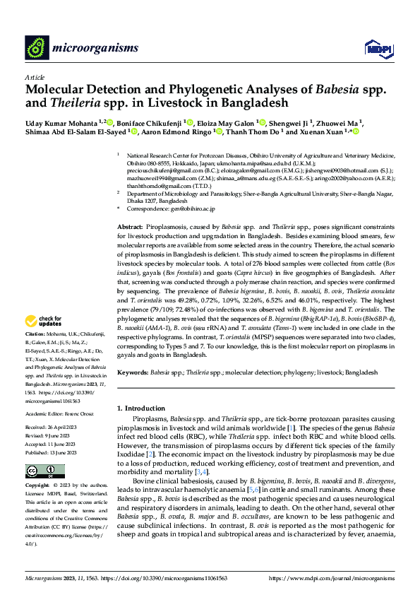 Pdf Molecular Detection And Phylogenetic Analyses Of Babesia Spp And