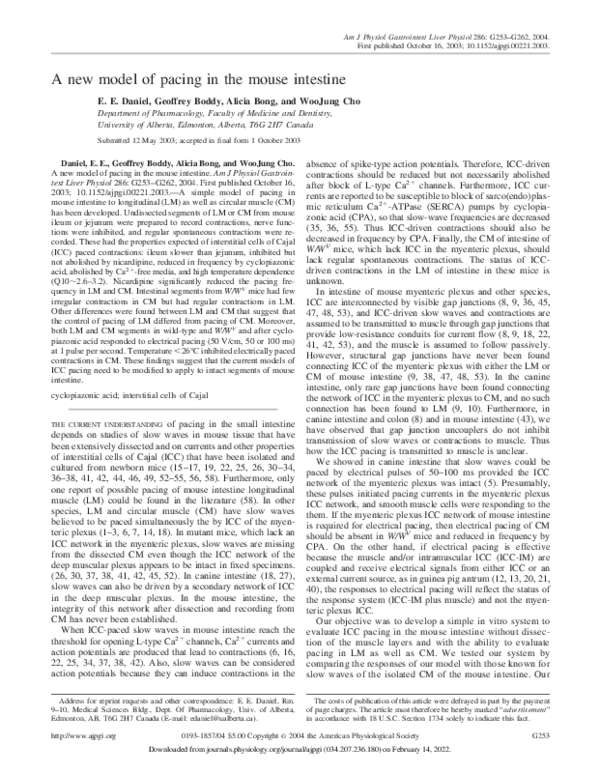 (PDF) A new model of pacing in the mouse intestine
