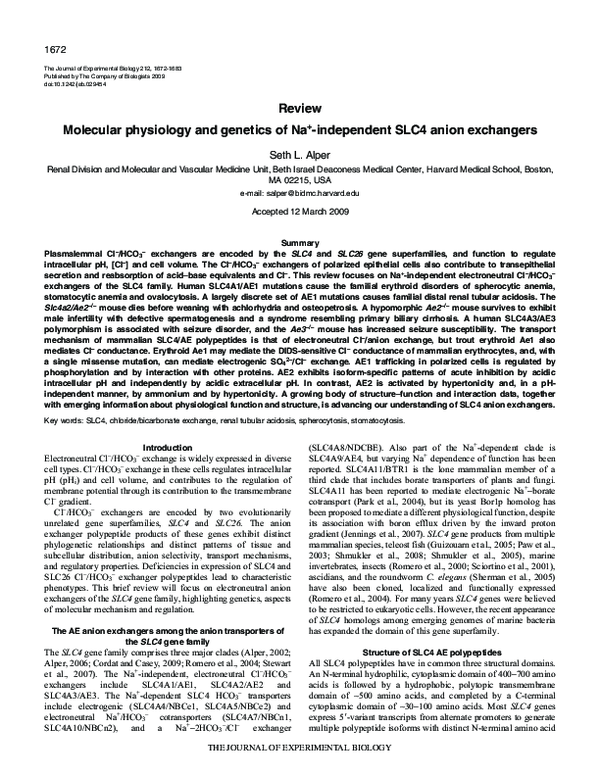 (PDF) Molecular physiology and genetics of Na+-independent SLC4 anion ...