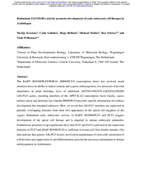 (PDF) Redundant PLETHORA activity promotes development of early ...