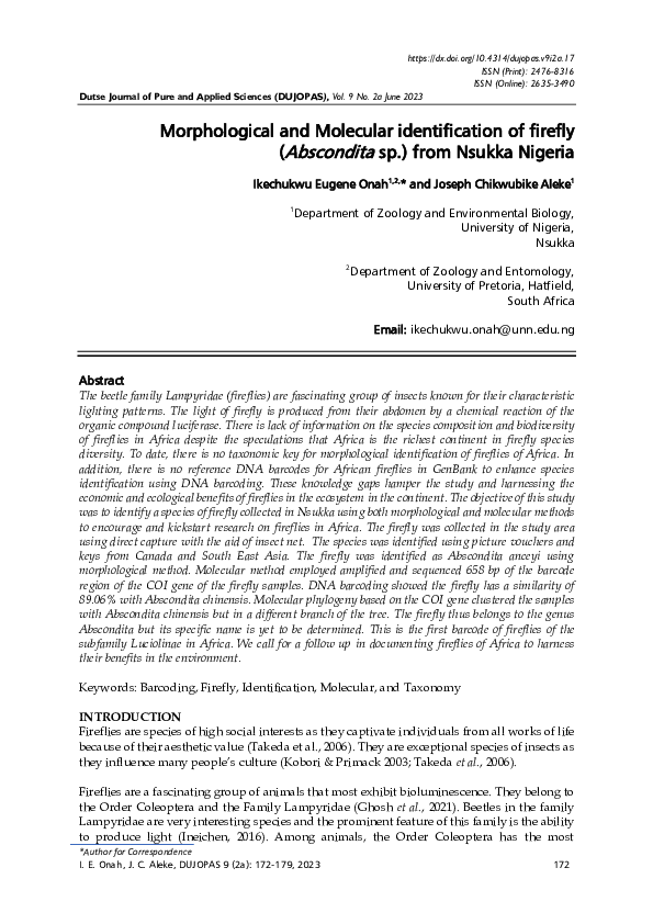 (PDF) Morphological and Molecular identification of firefly (Abscondita sp.) from Nsukka Nigeria ...