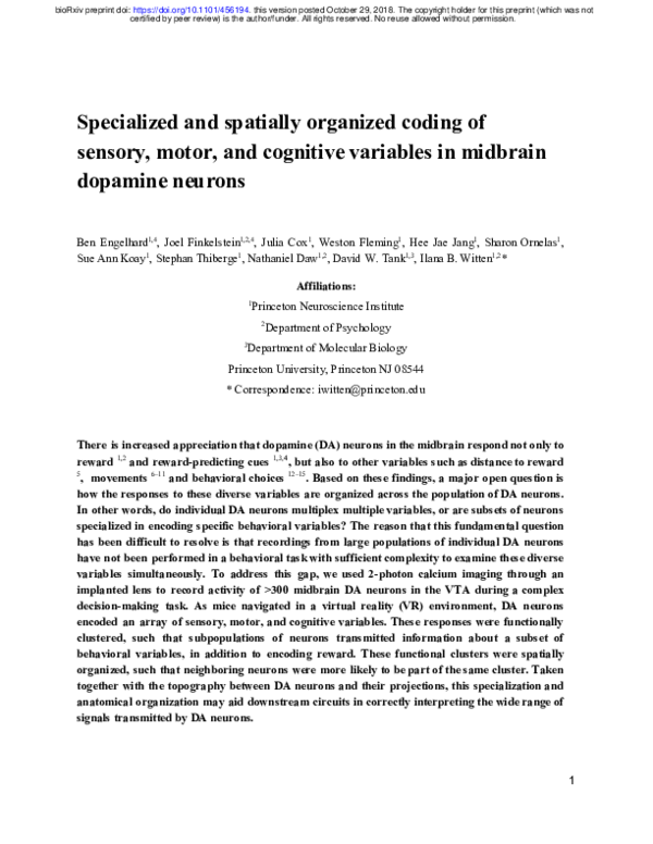 (PDF) Specialized and spatially organized coding of sensory, motor, and ...