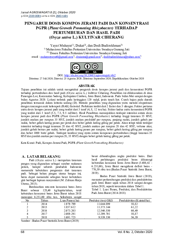 (PDF) PENGARUH DOSIS KOMPOS JERAMI PADI DAN KONSENTRASI PGPR (Plant ...