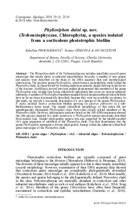 (PDF) Phyllosiphon duinisp. nov. (Trebouxiophyceae, Chlorophyta), a ...
