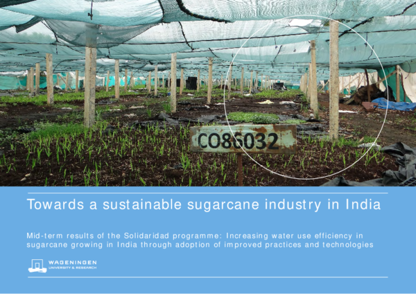 (PDF) Towards a sustainable sugarcane industry in India : mid-term results of the Solidaridad ...