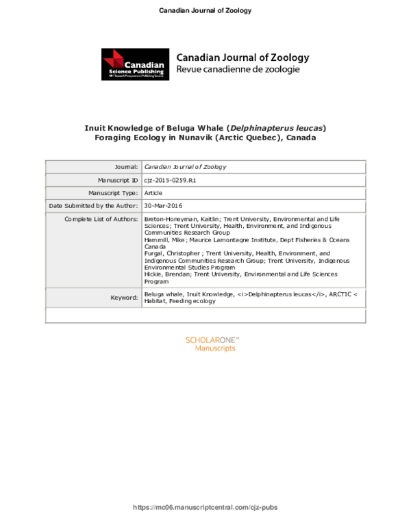 (PDF) Inuit Knowledge of beluga whale (Delphinapterus leucas) foraging ...