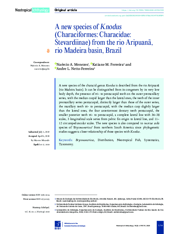 (PDF) A new species of Knodus (Characiformes: Characidae: Stevardiinae ...