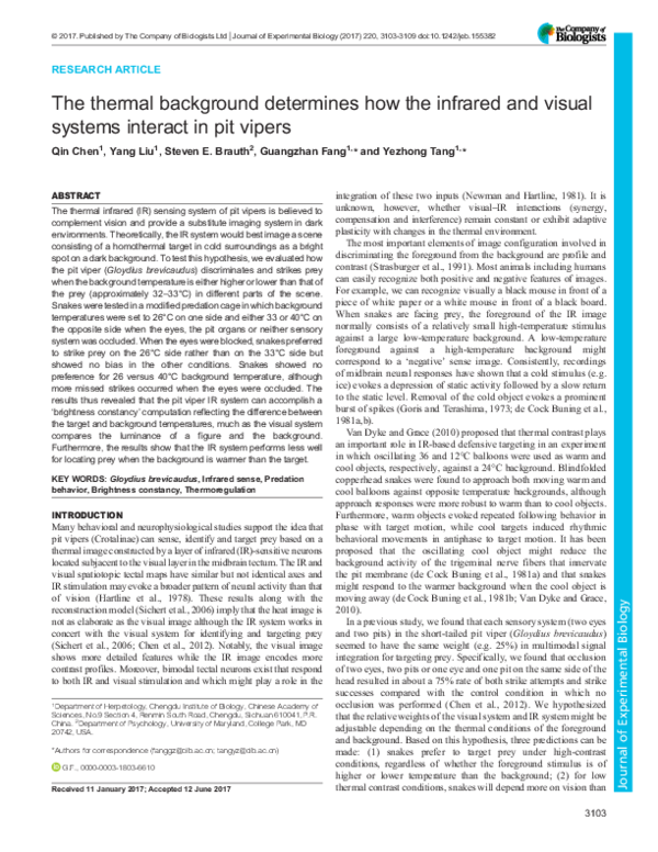 (PDF) The thermal background determines how the infrared and visual ...