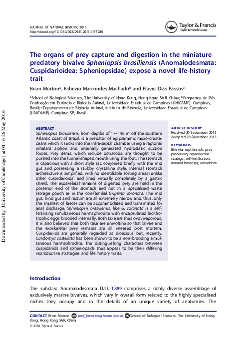 (PDF) The organs of prey capture and digestion in the miniature ...