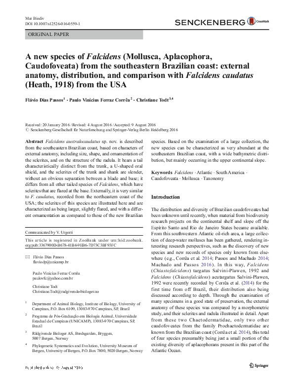 (PDF) A new species of Falcidens (Mollusca, Aplacophora, Caudofoveata ...