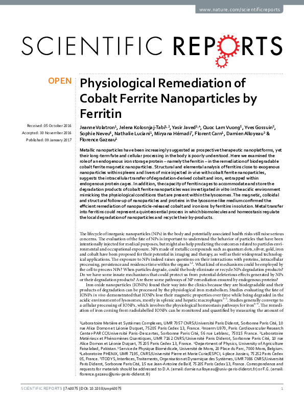 (PDF) Physiological Remediation of Cobalt Ferrite Nanoparticles by Ferritin