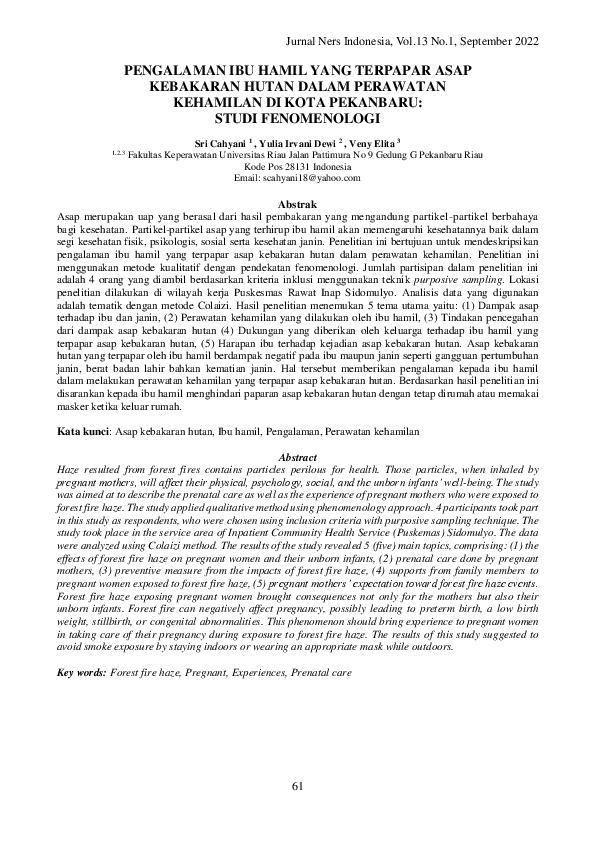 (PDF) Pengalaman Ibu Hamil Yang Terpapar Asap Kebakaran Hutan Dalam ... (PDF) Pengalaman Ibu Hamil Yang Terpapar Asap Kebakaran Hutan Dalam ...